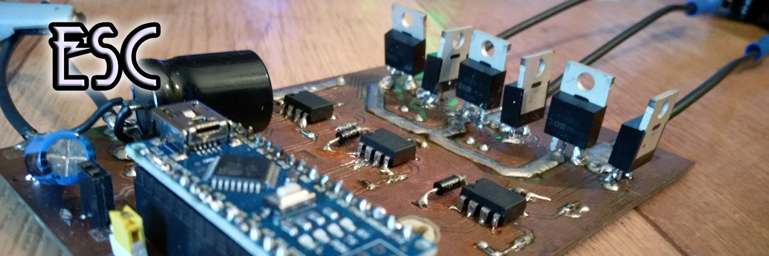 HOMEMADE ESC
